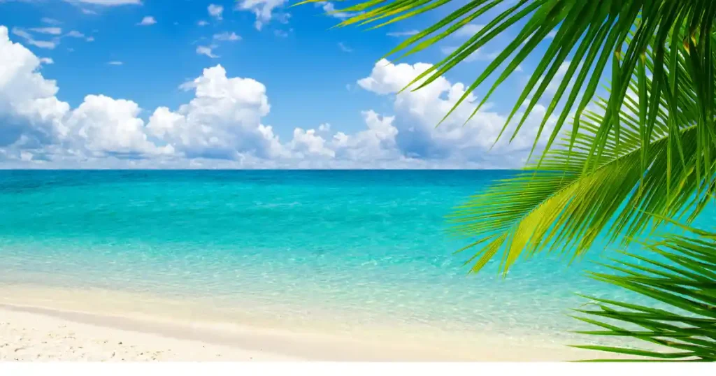 優待メニュー | Lu Vit 旅トク デスク